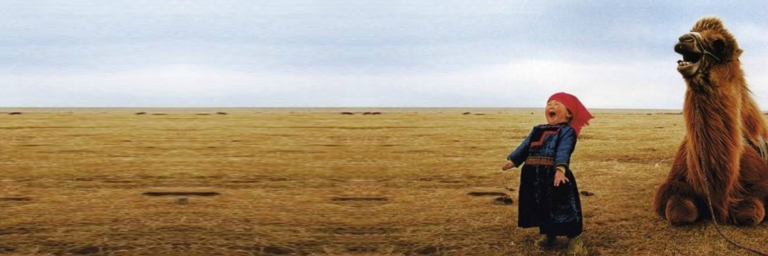 Tao Li | McManus Lab